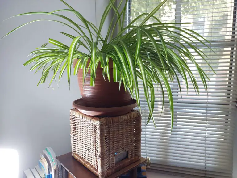 Wlan Router verstecken ≫ die 8 besten Ideen!